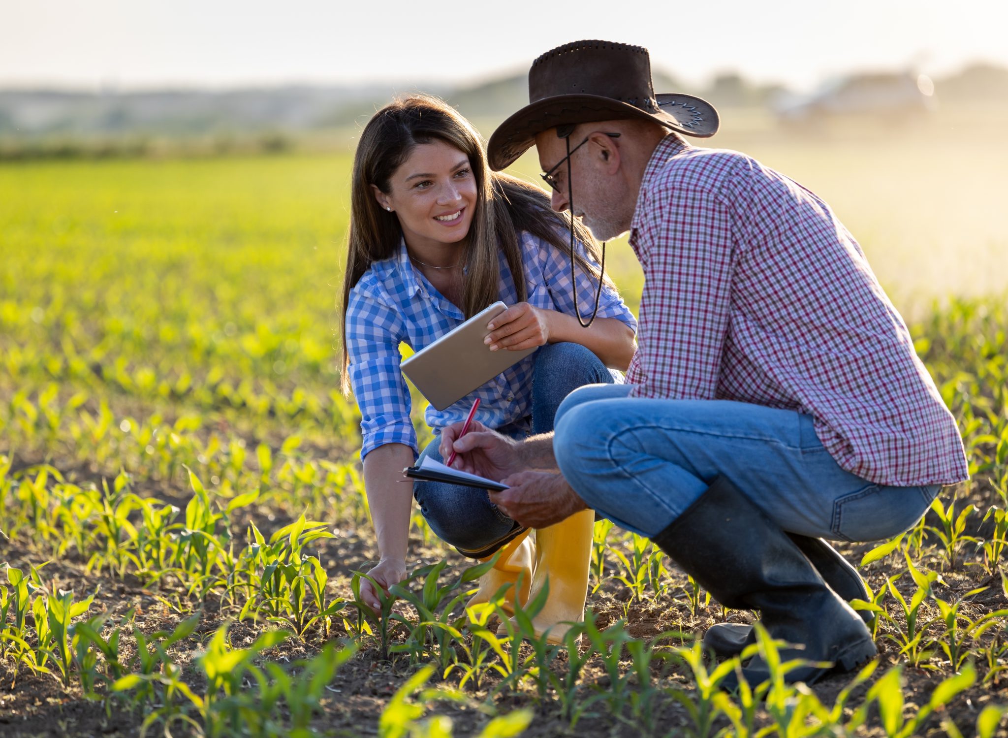 Supply Chain Management Software Company | Foods Connected